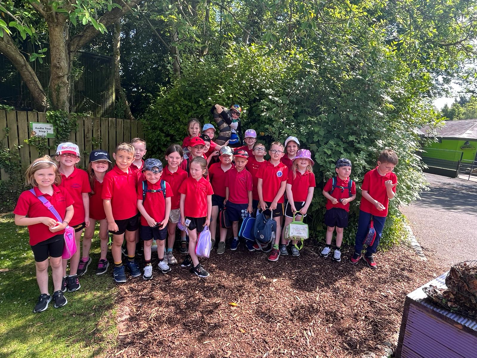 P3 trip to the zoo! 🐧